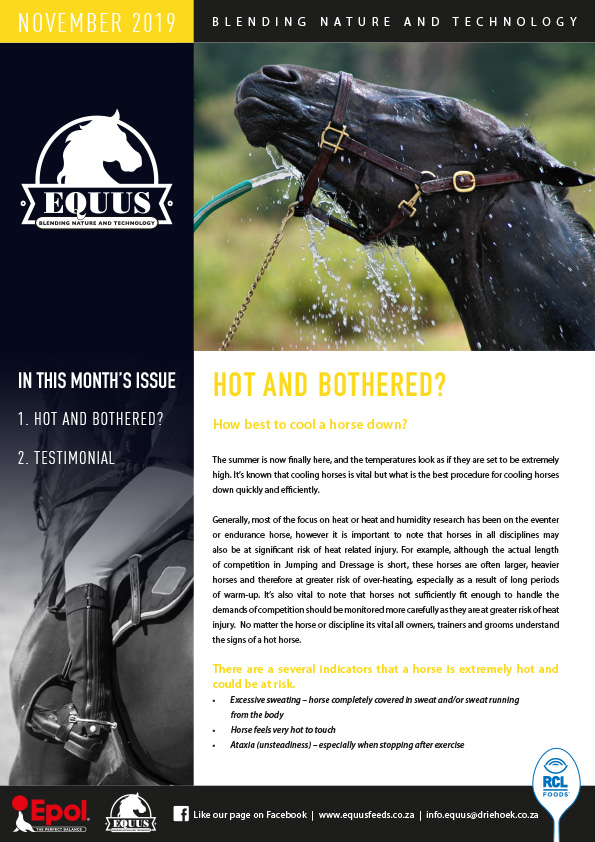 NEWSLETTERS – EPOL Equine