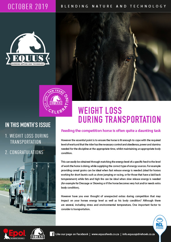 NEWSLETTERS – EPOL Equine