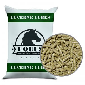 LUCERNE CUBES – EPOL Equine